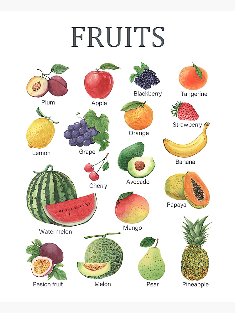 "Educational Fruits Chart" Sticker for Sale by ellalvann3 | Redbubble
