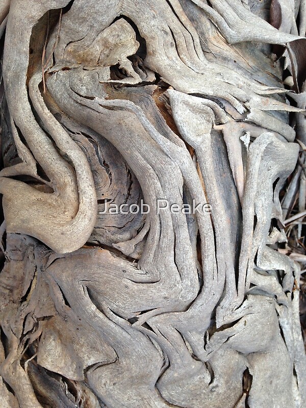 "Aussie Drought" by Jacob Peake | Redbubble