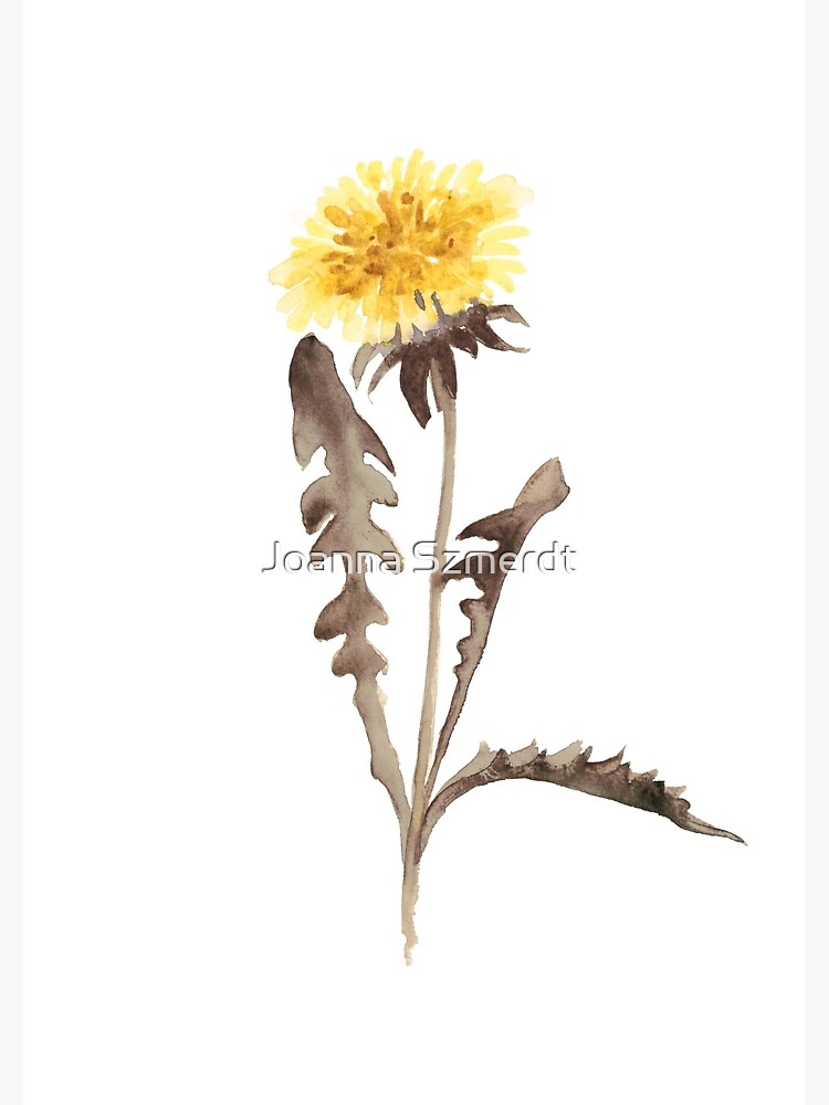 "Aster Flower Watercolor Painting Abstract Floral Drawing Poster ...