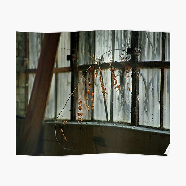 "Intrusion - 1" Poster by mal-photography | Redbubble