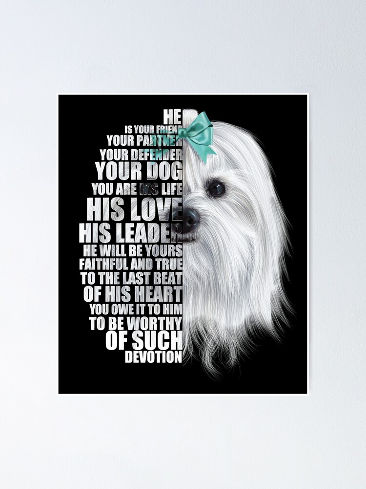 "Maltese dog cute drawing inspirational quotes gift for Maltese dog ...