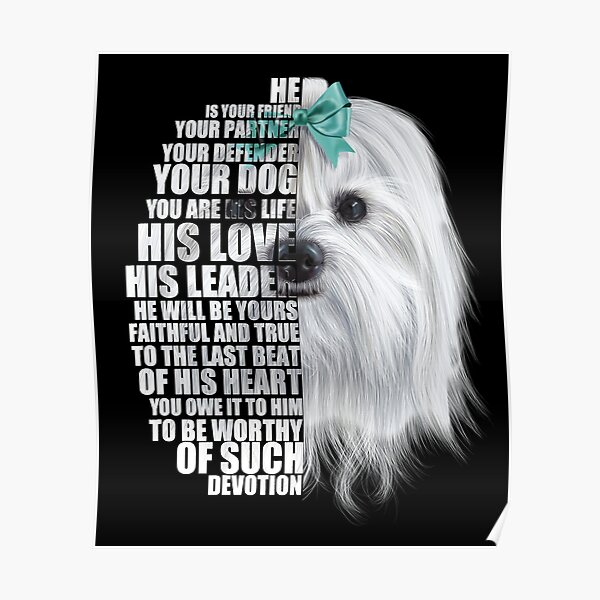 "Maltese dog cute drawing inspirational quotes gift for Maltese dog ...