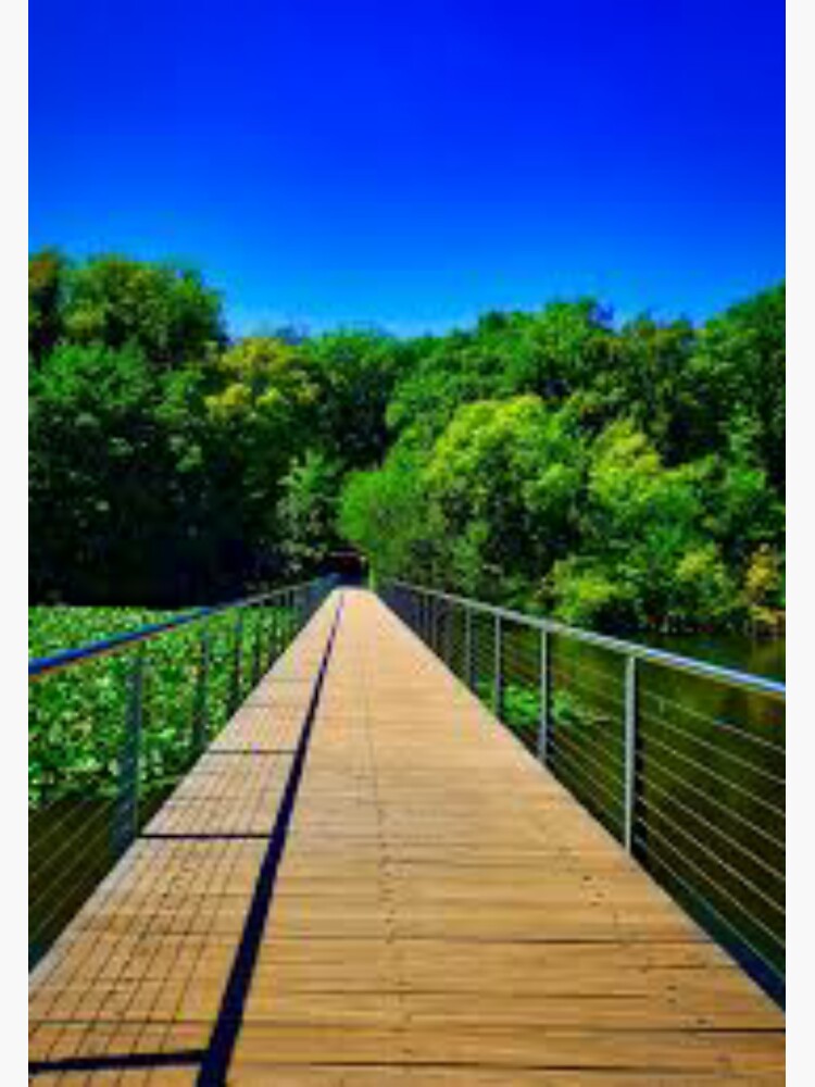 "wooden bridge" Sticker by Roshankeenoo | Redbubble