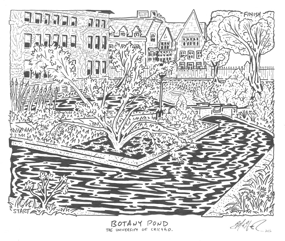 "Botany Pond Maze" by matthewsmazes | Redbubble