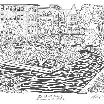 "Botany Pond Maze" Poster for Sale by matthewsmazes | Redbubble