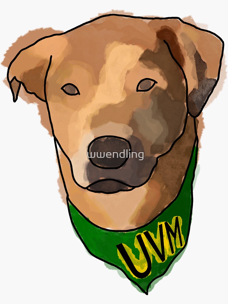 "UVM Doggo" Sticker for Sale by wwendling | Redbubble