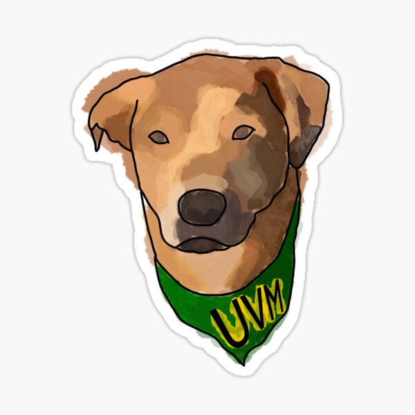 "UVM Doggo" Sticker for Sale by wwendling | Redbubble