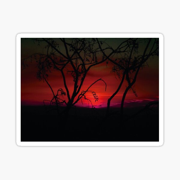 "Dawn" Sticker for Sale by OneFoto | Redbubble