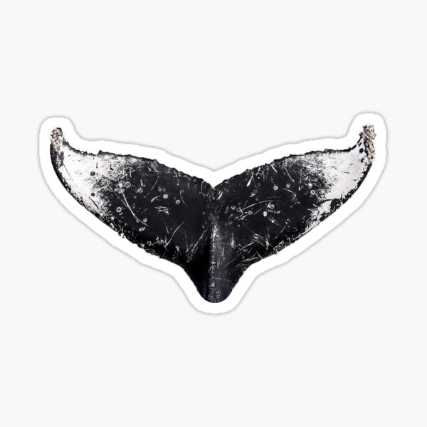 "Inverse the Humpback Fluke" Sticker for Sale by JuneauWhales | Redbubble