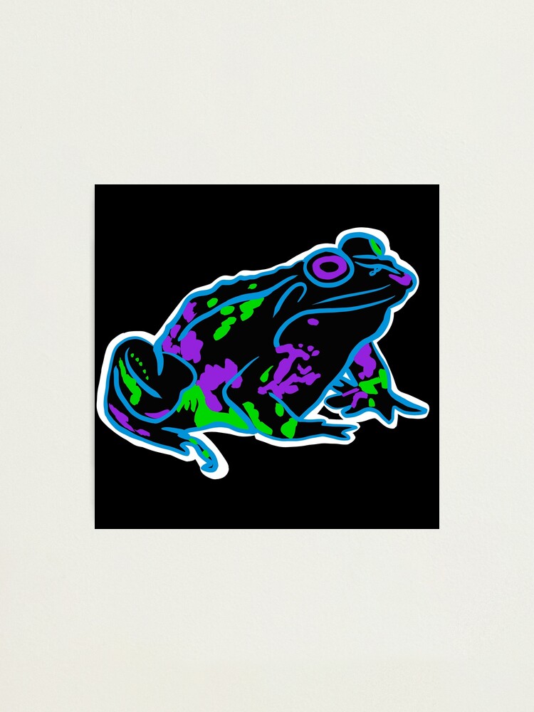 " Blue Neon Frog with White Outline" Photographic Print by ...