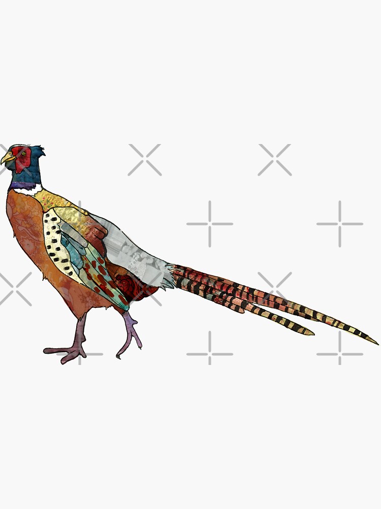 "Pheasant" Sticker for Sale by katherineblower | Redbubble