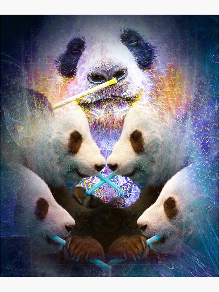 "Edm Trippy Panda Rave " Sticker for Sale by DemoNorris | Redbubble