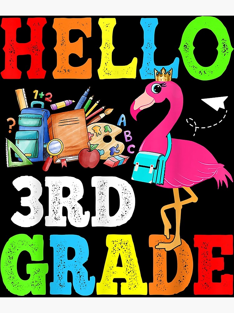 "Welcome Back To School 3rd Grade Flamingo Teacher Student ...