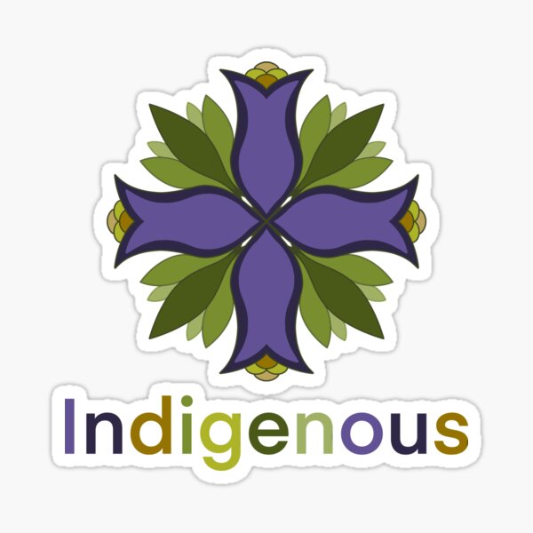 "Indigenous " Sticker for Sale by Niibidoon | Redbubble