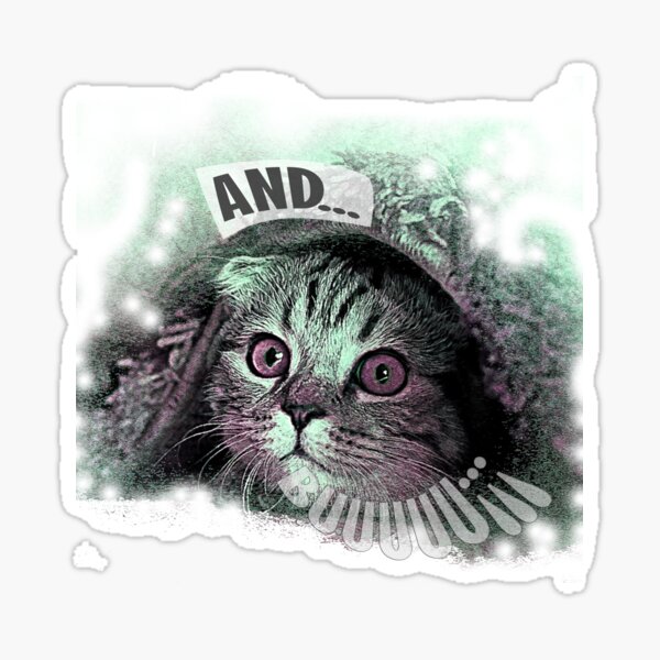 "gato asustado" Sticker for Sale by Enjoshop | Redbubble