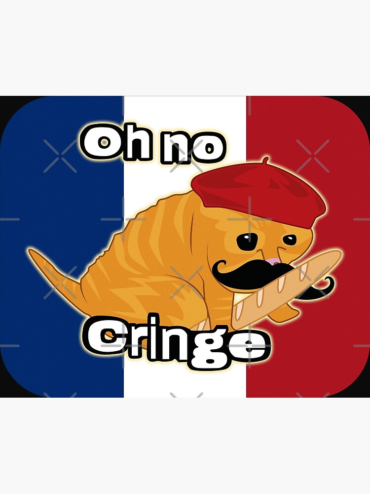 "Oh no Cringe Cat French Flag" Poster for Sale by Rzera- | Redbubble