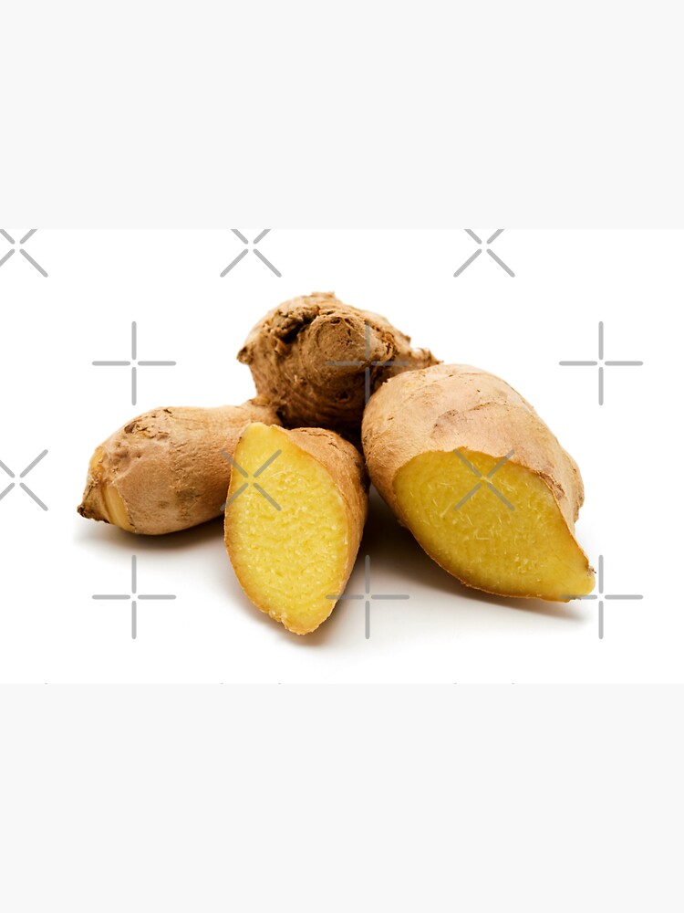 "Ginger" Sticker for Sale by troianifabrizio | Redbubble