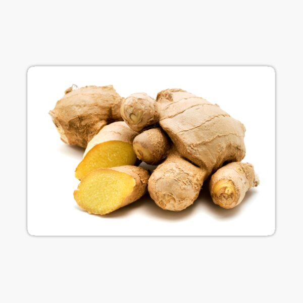 "Ginger" Sticker for Sale by troianifabrizio | Redbubble