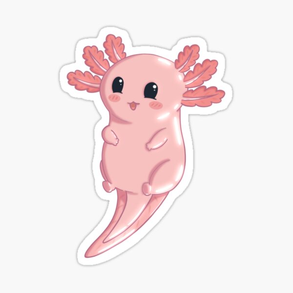 "Chibi Axolotl " Sticker for Sale by raquel98rm | Redbubble