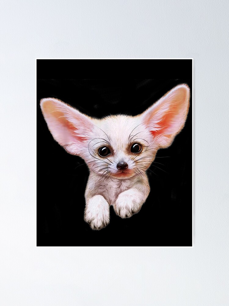 "Cute Fennec Fox Cub" Poster for Sale by gibala3864 | Redbubble