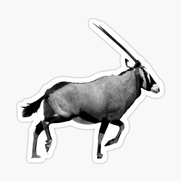 "African Oryx" Sticker for Sale by eurodesign | Redbubble