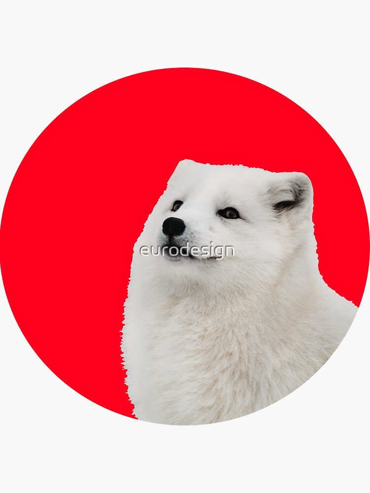 "White Fox" Sticker for Sale by eurodesign | Redbubble