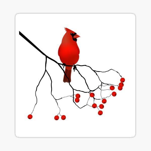 "Red Cardinal" Sticker for Sale by Aenota | Redbubble
