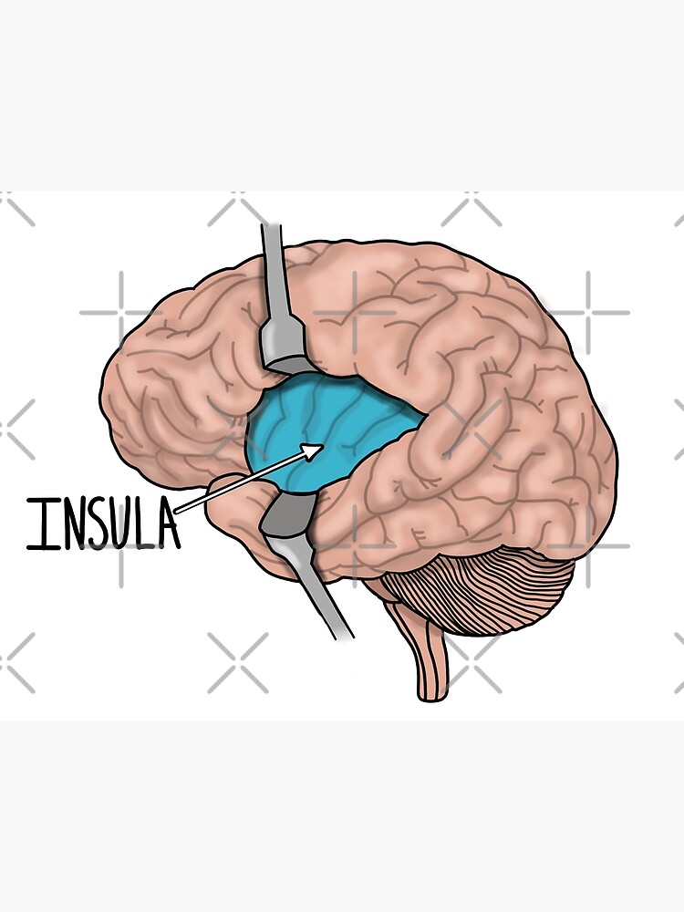 "Insula" Poster for Sale by Kru22 | Redbubble