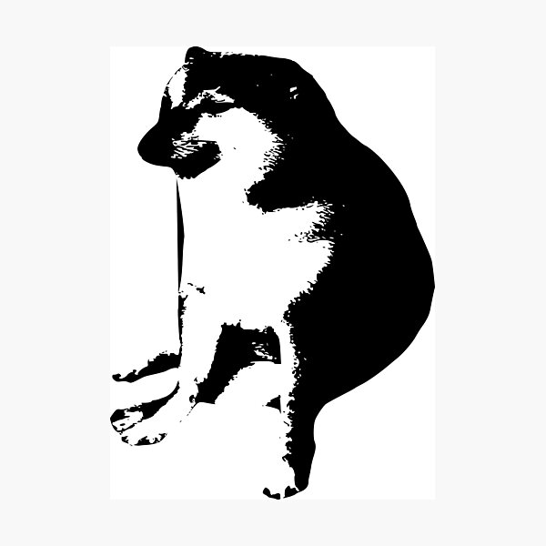 "Cheems dog in black color" Photographic Print for Sale by SEOCH ...