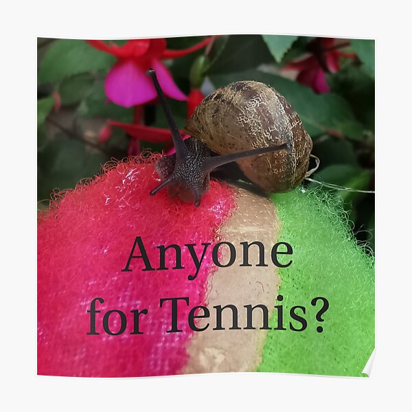 "Snail, Anyone for Tennis?" Poster for Sale by Bumpulous | Redbubble