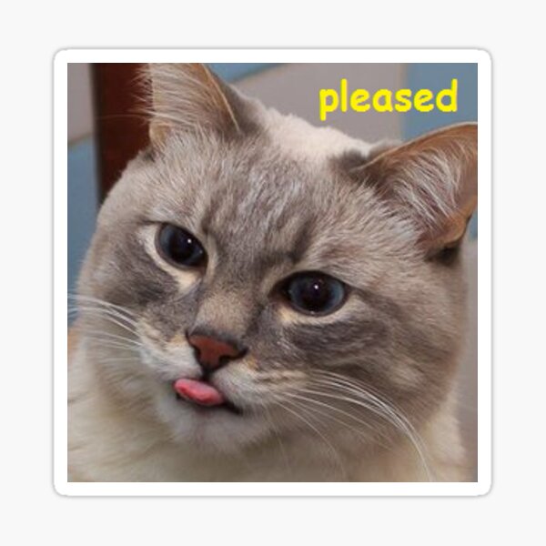 "pleased cat meme" Sticker for Sale by karakarao3o | Redbubble