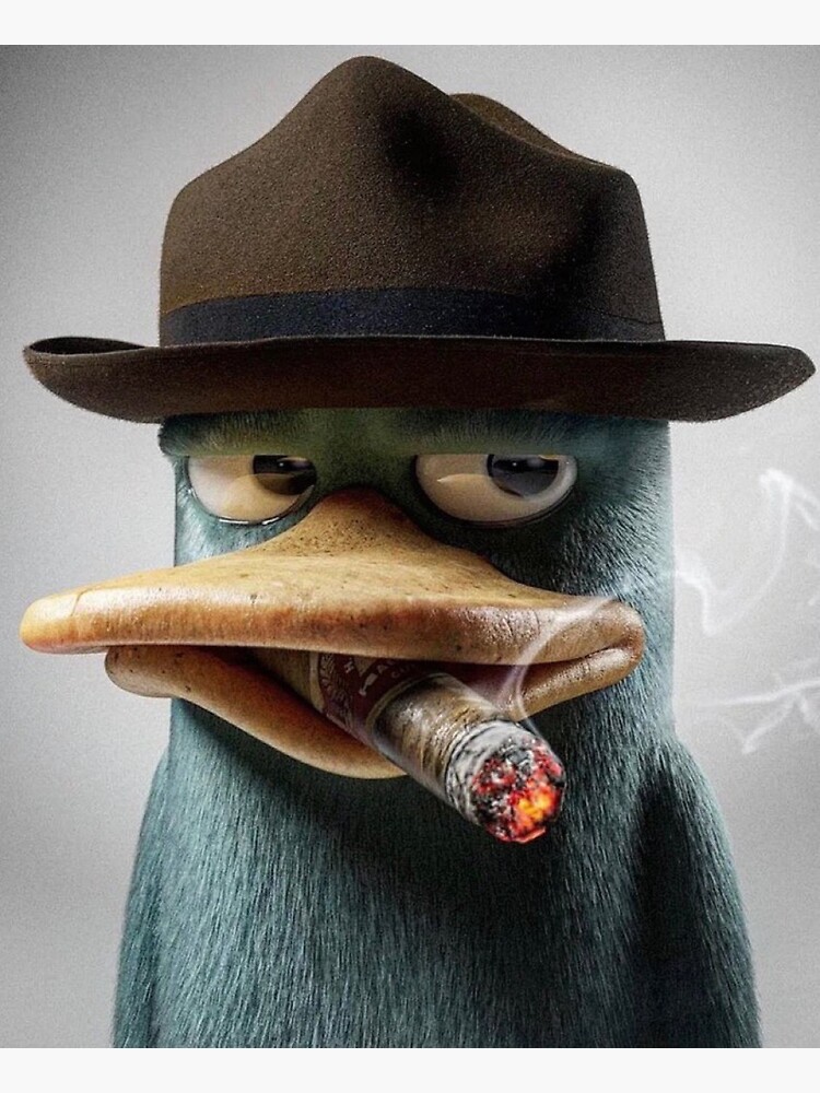 "Perry the platypus smoking a cigar meme" Sticker for Sale by ...