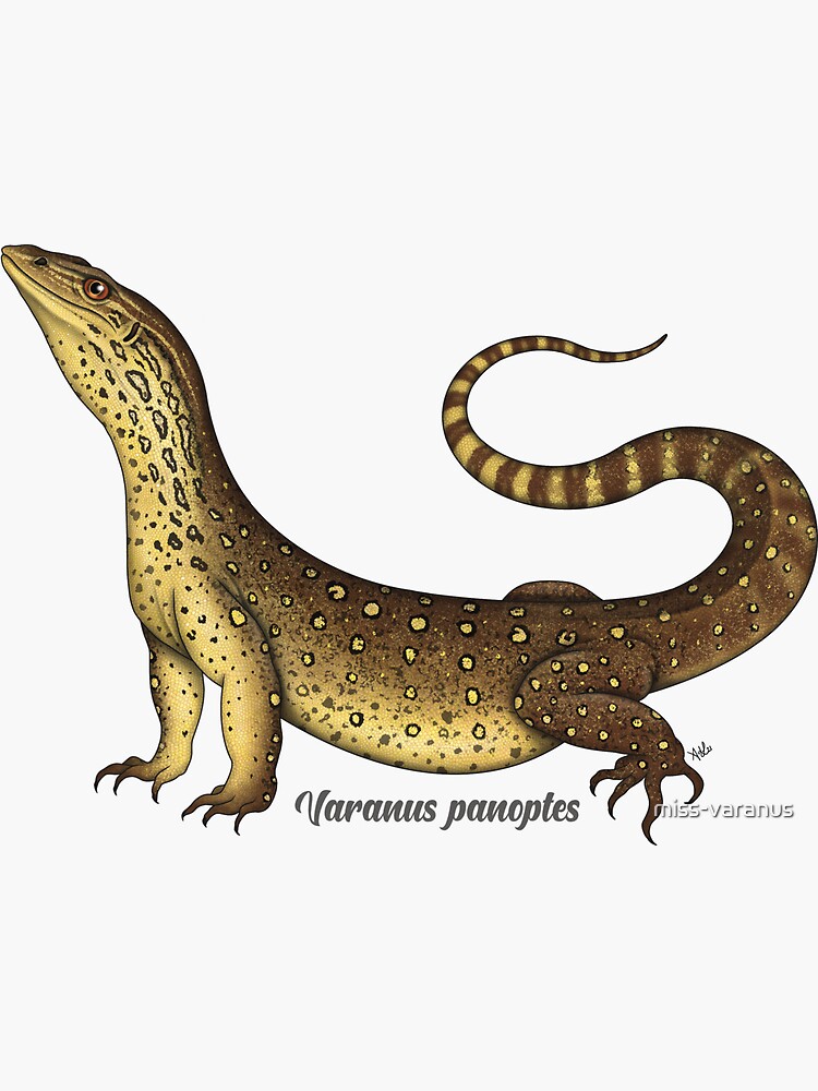 "Yellow-spotted Monitor " Sticker for Sale by miss-varanus | Redbubble