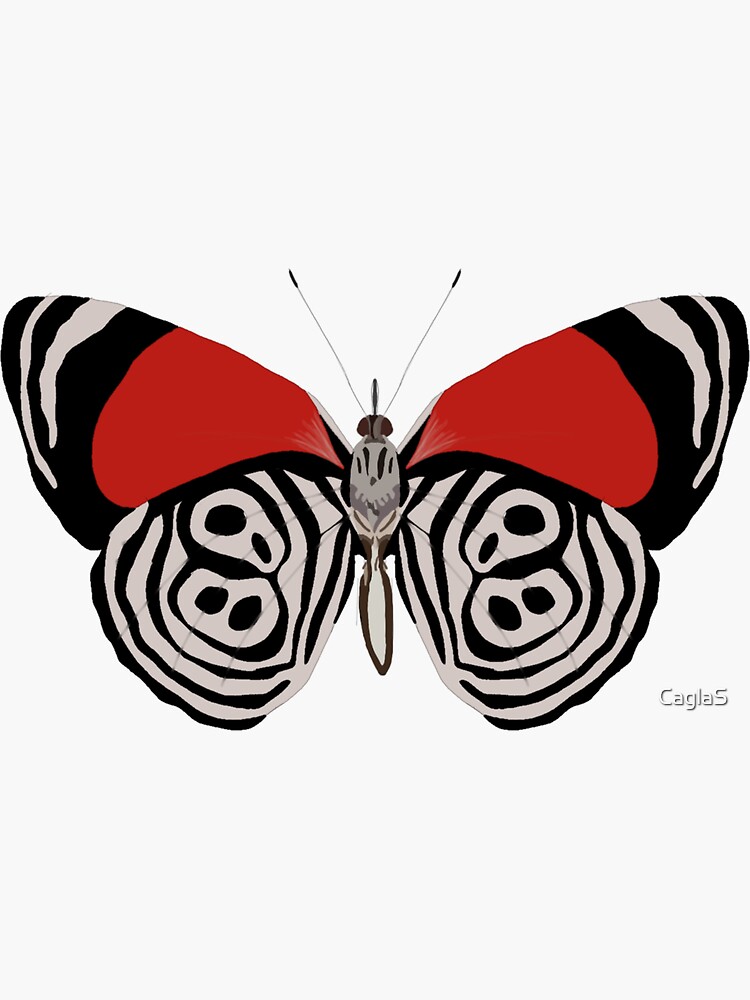 "Eighty-Eight Butterfly " Sticker for Sale by CaglaS | Redbubble