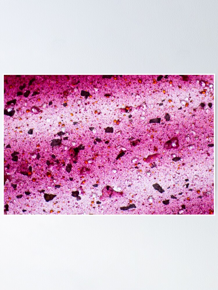 "Red Lipstick under a Microscope" Poster for Sale by as3445 | Redbubble