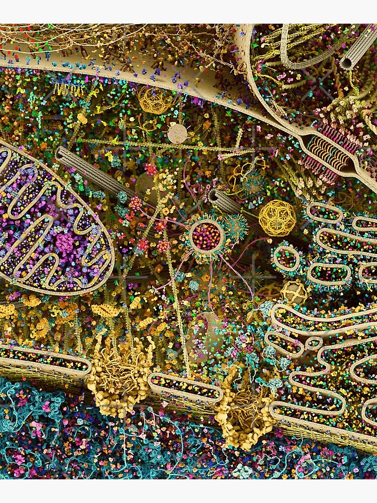 Most detailed model of a human cell to date Premium Matte Vertical ...