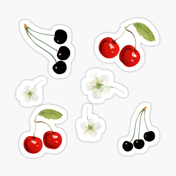 "Cherry sticker pack - Sticker set with 7 stickers" Sticker for Sale by ...