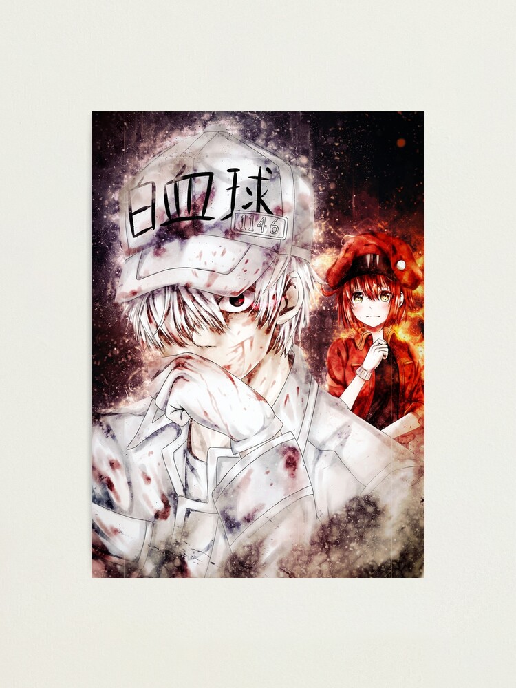 "Neutrophil U1146 White Blood Cell Cells at work" Photographic Print ...