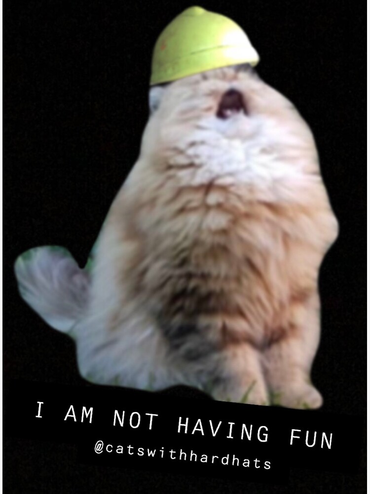 "Not Having Fun Hardhat Sticker" Sticker for Sale by Catwithhardhat ...