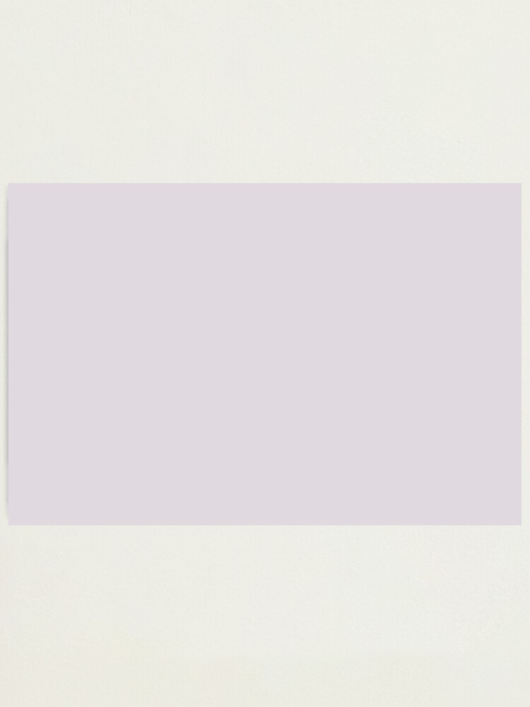 "Pale Purple Solid Color 2022 Trending Hue Lite Lavender SW 6554 ...