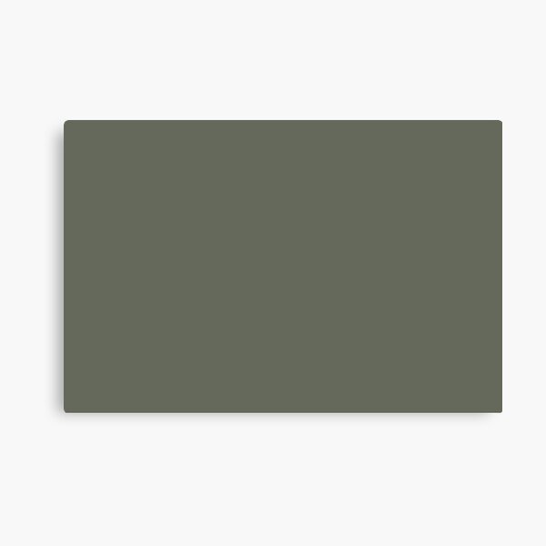 "Forest Green Solid Color 2022 Trending Hue Rosemary SW 6187 Sherwin ...