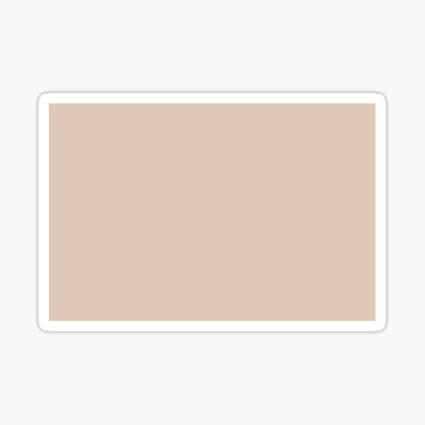 "Light Tan Solid Color 2022 Trending Hue Beige SW 2859 Sherwin Williams ...