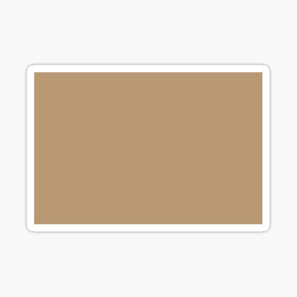 "Light Brown Solid Color 2022 Trending Hue Woven Wicker SW 9104 Sherwin ...