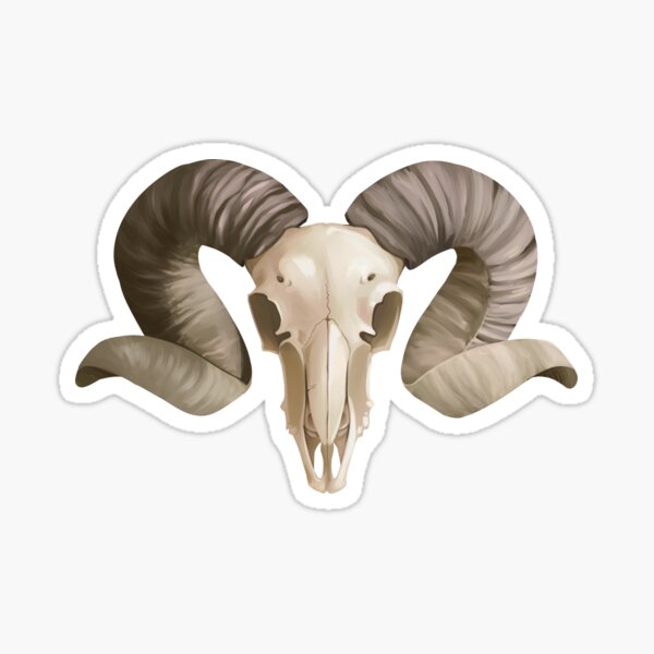 "Painted Ram Skull" Sticker for Sale by Excali8urstuff | Redbubble