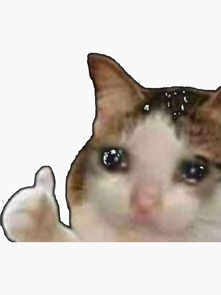 "Crying cat" Sticker by Antobart-- | Redbubble