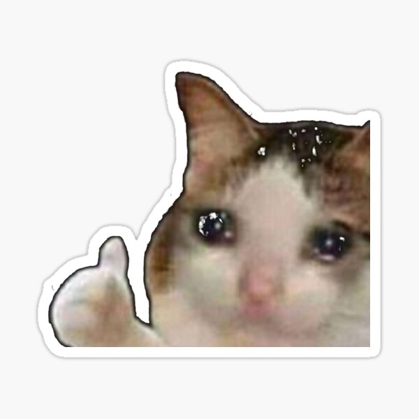"Crying cat" Sticker by Antobart-- | Redbubble