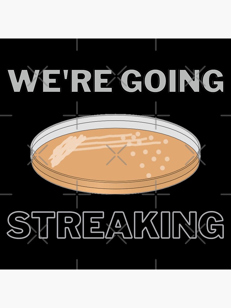 "Were Going Streaking - Streak Plate" Poster for Sale by quiet-charm ...