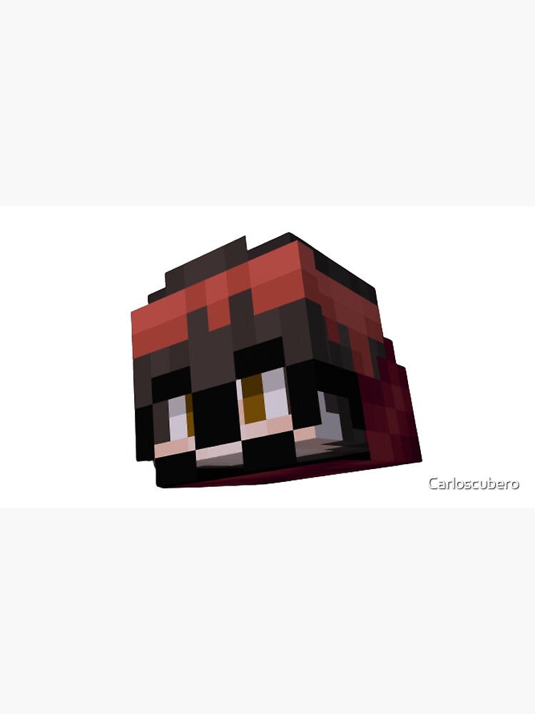 "Juan Guarnizo Skin Minecraft (Tortillaland)" Art Print by Carloscubero ...