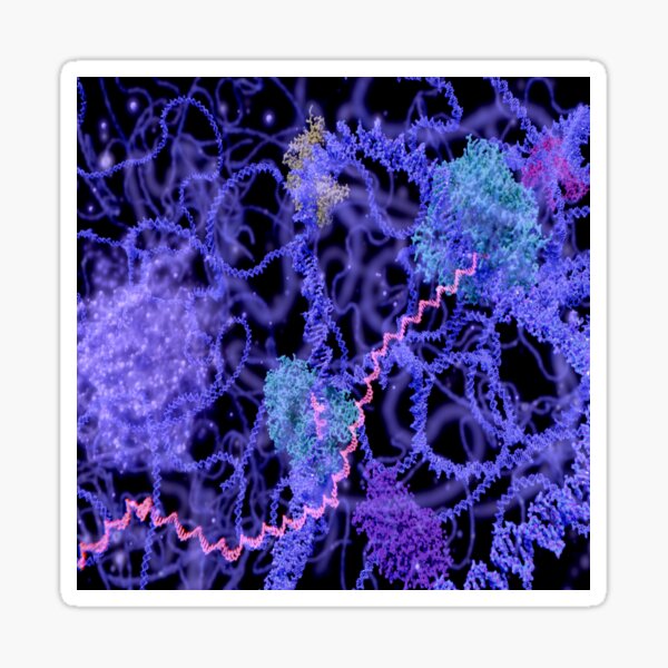 "astonishing view of the cell nucleus " Sticker for Sale by Nabello ...