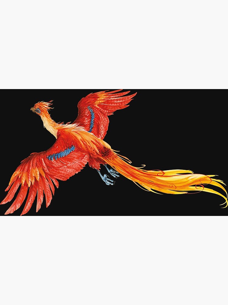 "dumbledore phoenix" Poster for Sale by AhmedXhah | Redbubble
